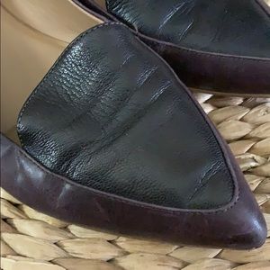 Everlane | Shoes | Everlane The Modern Point Flats | Poshmark